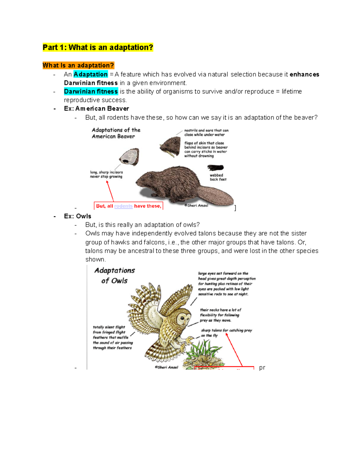 Lec. 7 Adaptation and the Comparative Method (Biol105) - BIOL 105 - UC ...