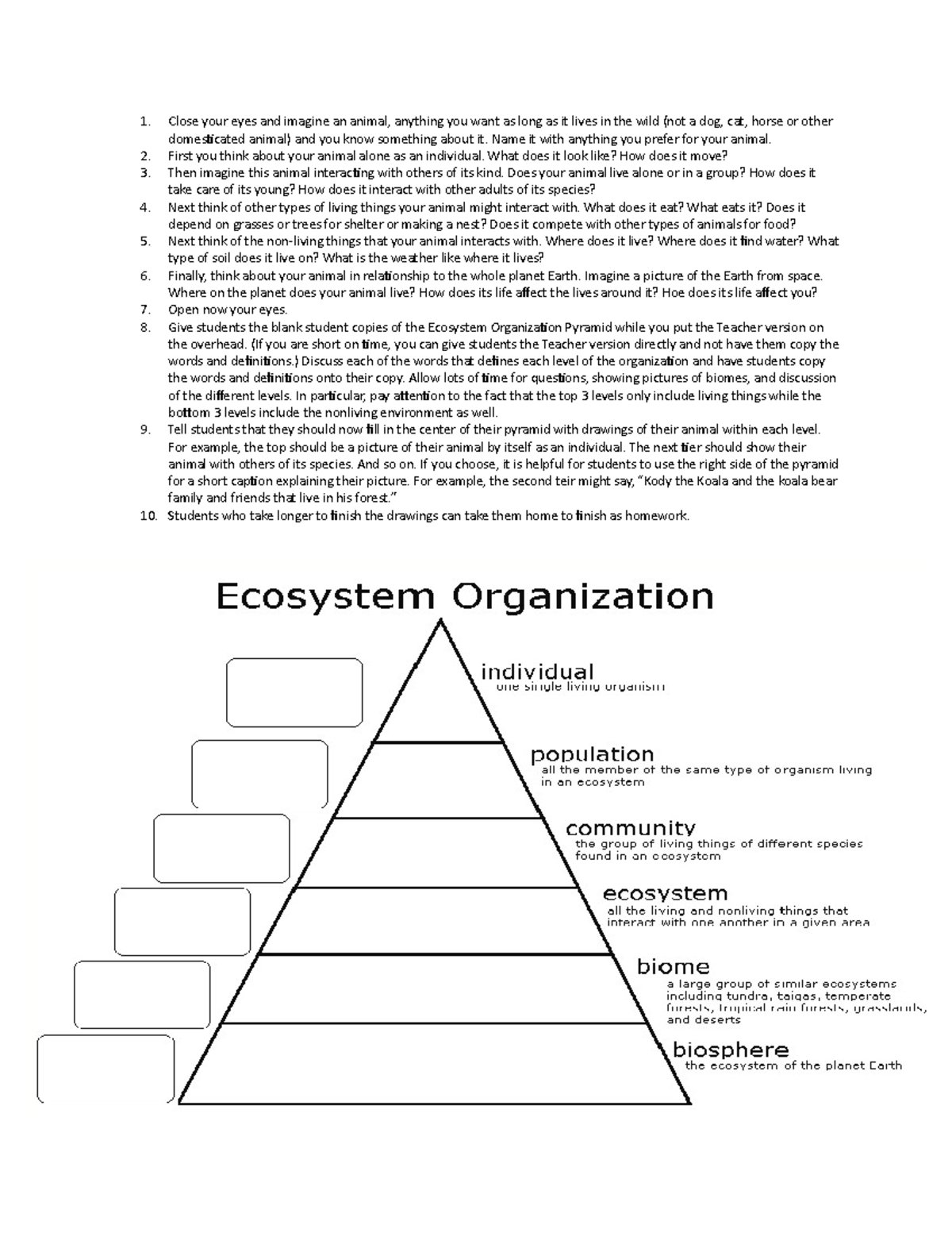 Intro lesson plan (student) - Close your eyes and imagine an animal ...