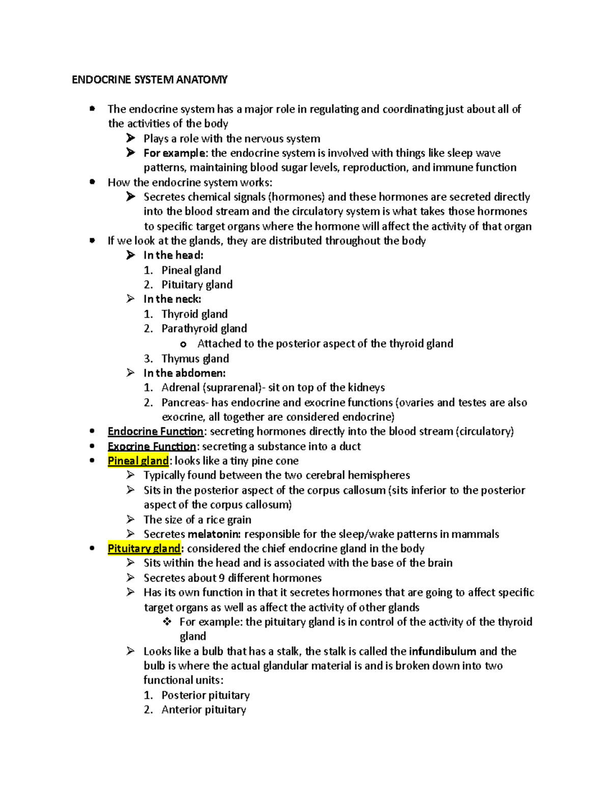 Endocrine and Reproductive System Anatomy - ENDOCRINE SYSTEM ANATOMY ...