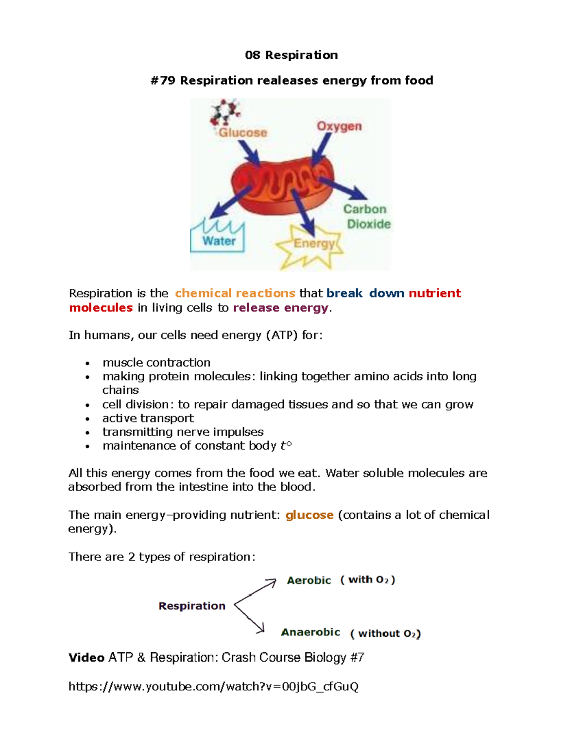 08 Respiration Biology Notes Igcse 2014 - 08 Respiration #79 ...