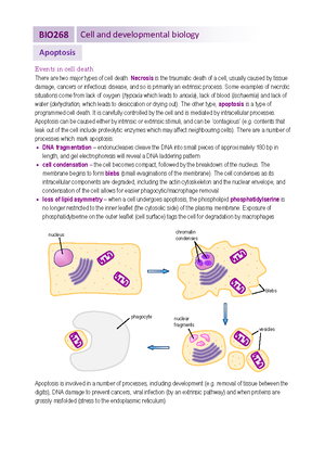 Revision Notes Cell and Developmental Biology: courses, Cell and ...