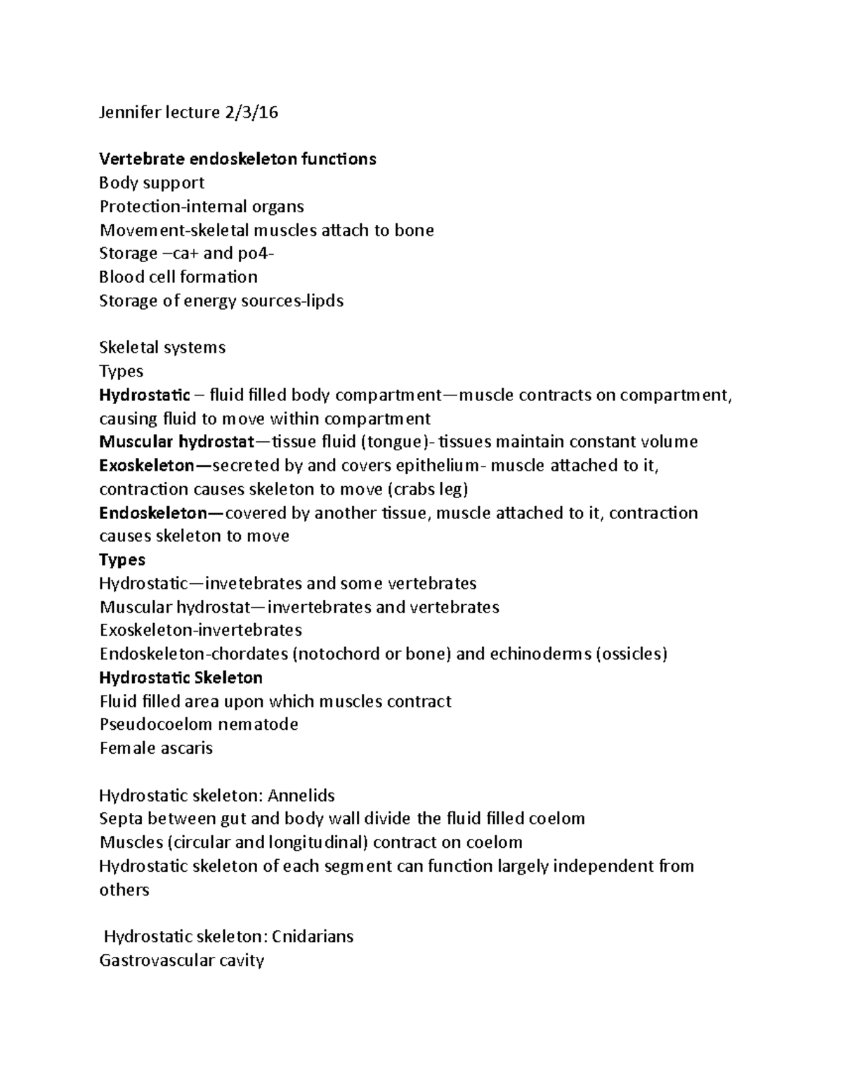Skeleton lecture - Skeletal notes - Jennifer lecture 2/3/ Vertebrate ...