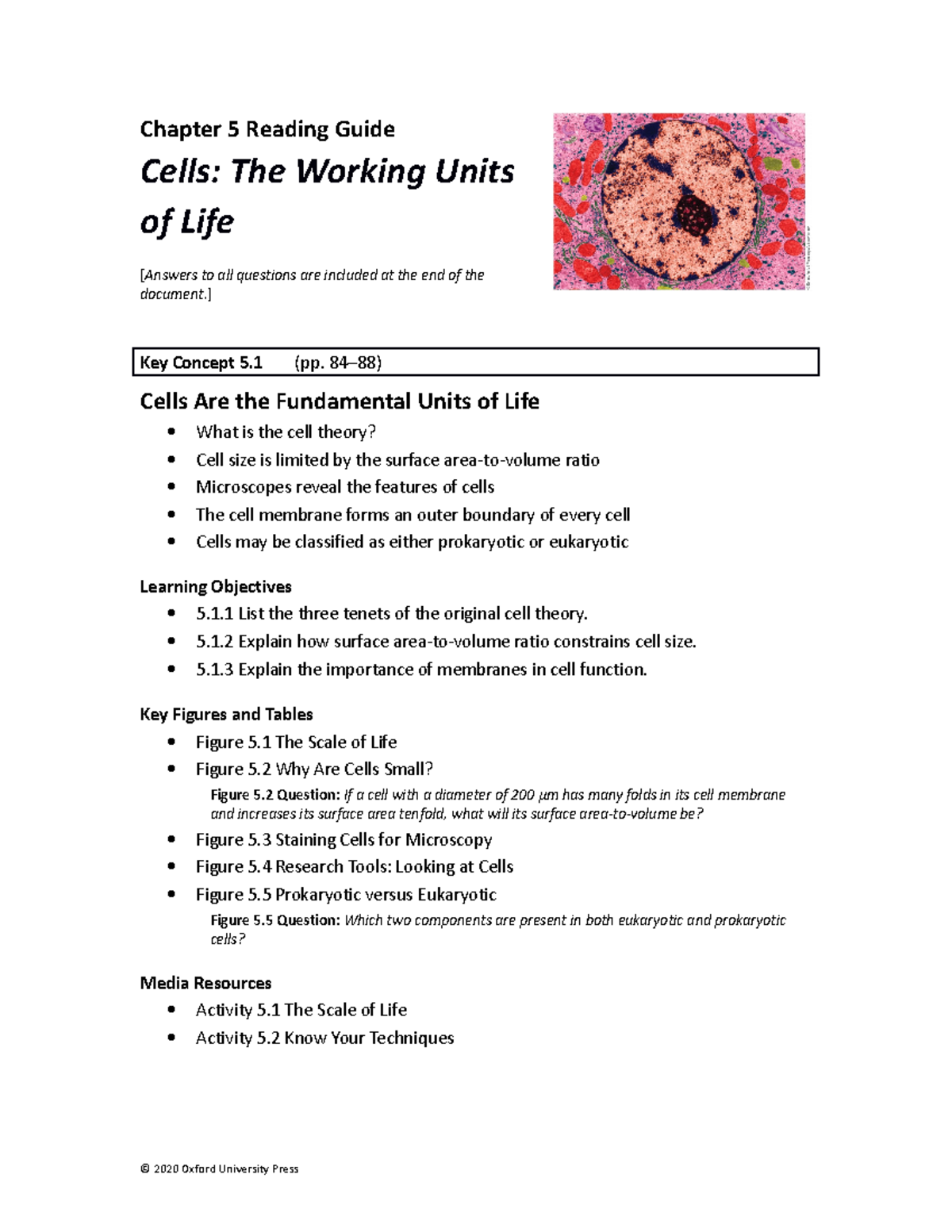 Life12e Ch05 Reading Guide - Chapter 5 Reading Guide Cells: The Working ...