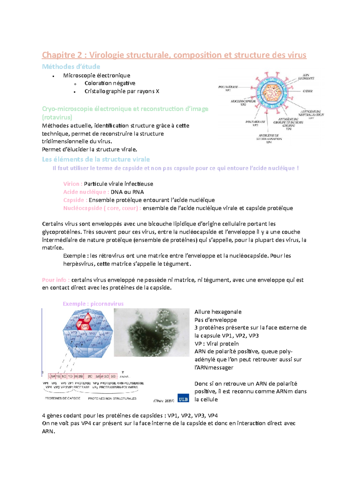 Chapitre 2 - Cours de virologie - Chapitre 2 : Virologie structurale, composition et structure ...