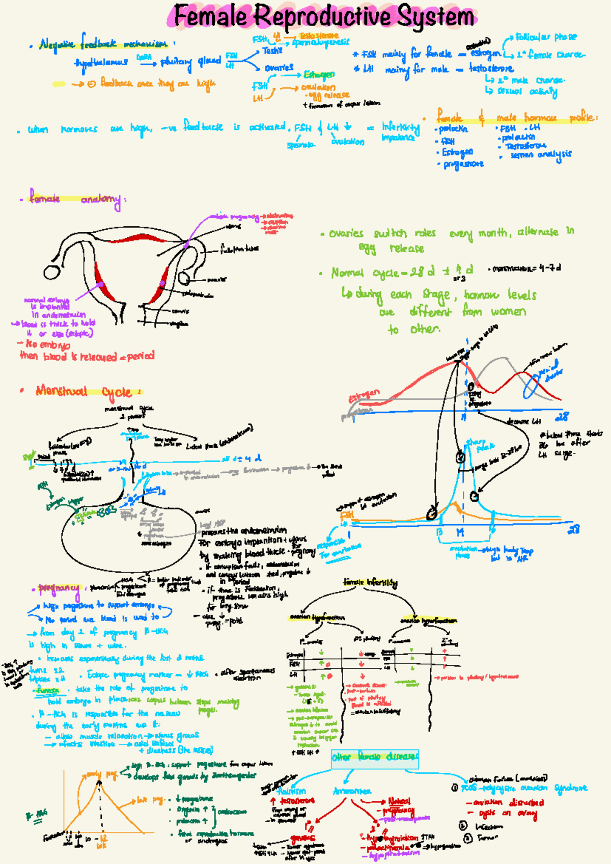 Female And Male Reproductive System - New Notes - chemistry - Studocu