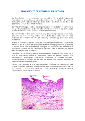 Colorantes acidos y basicos de rutina - T é n i c a s h i s t o l ó g i ...