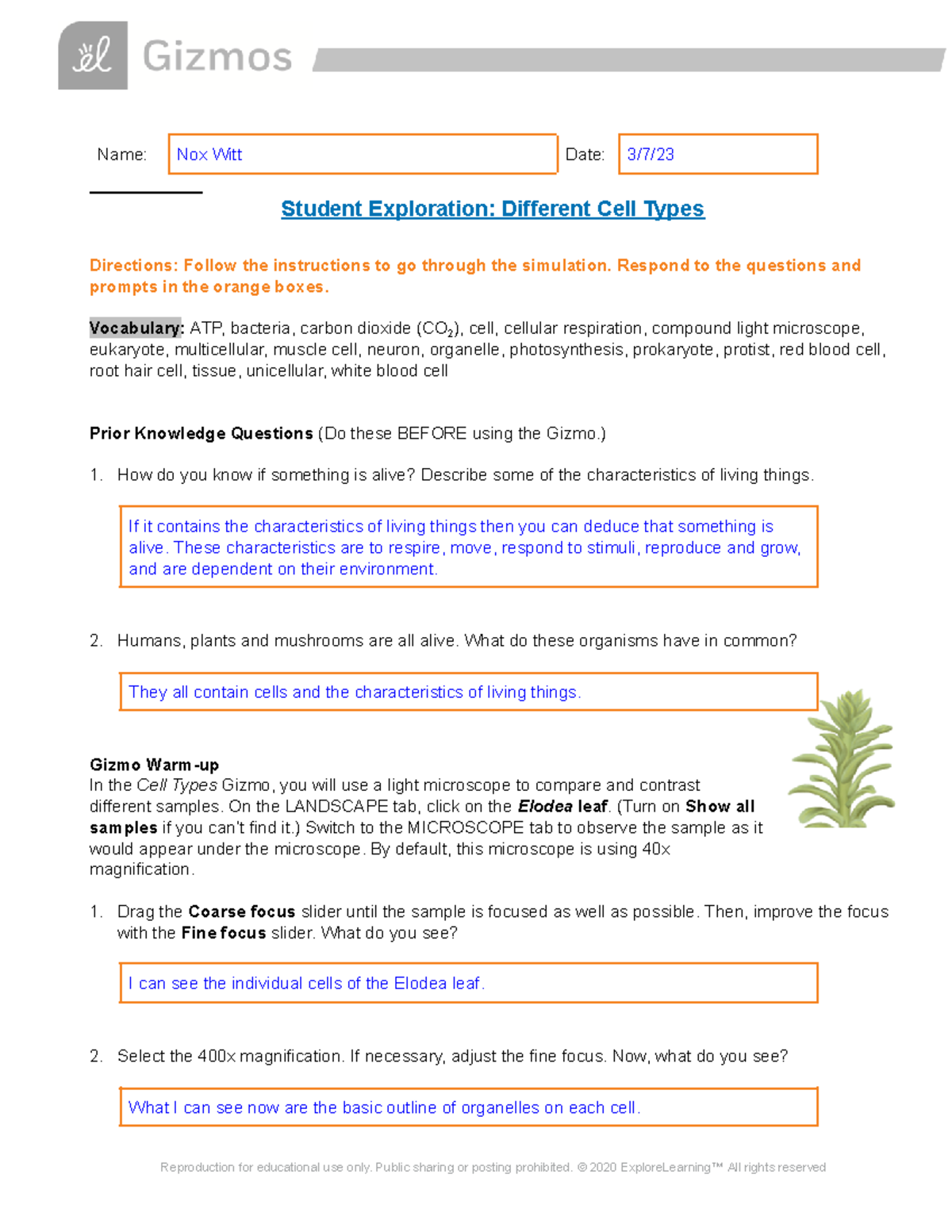 Different Cell Types - Name: Nox Witt Date: 3/7/ Student Exploration ...