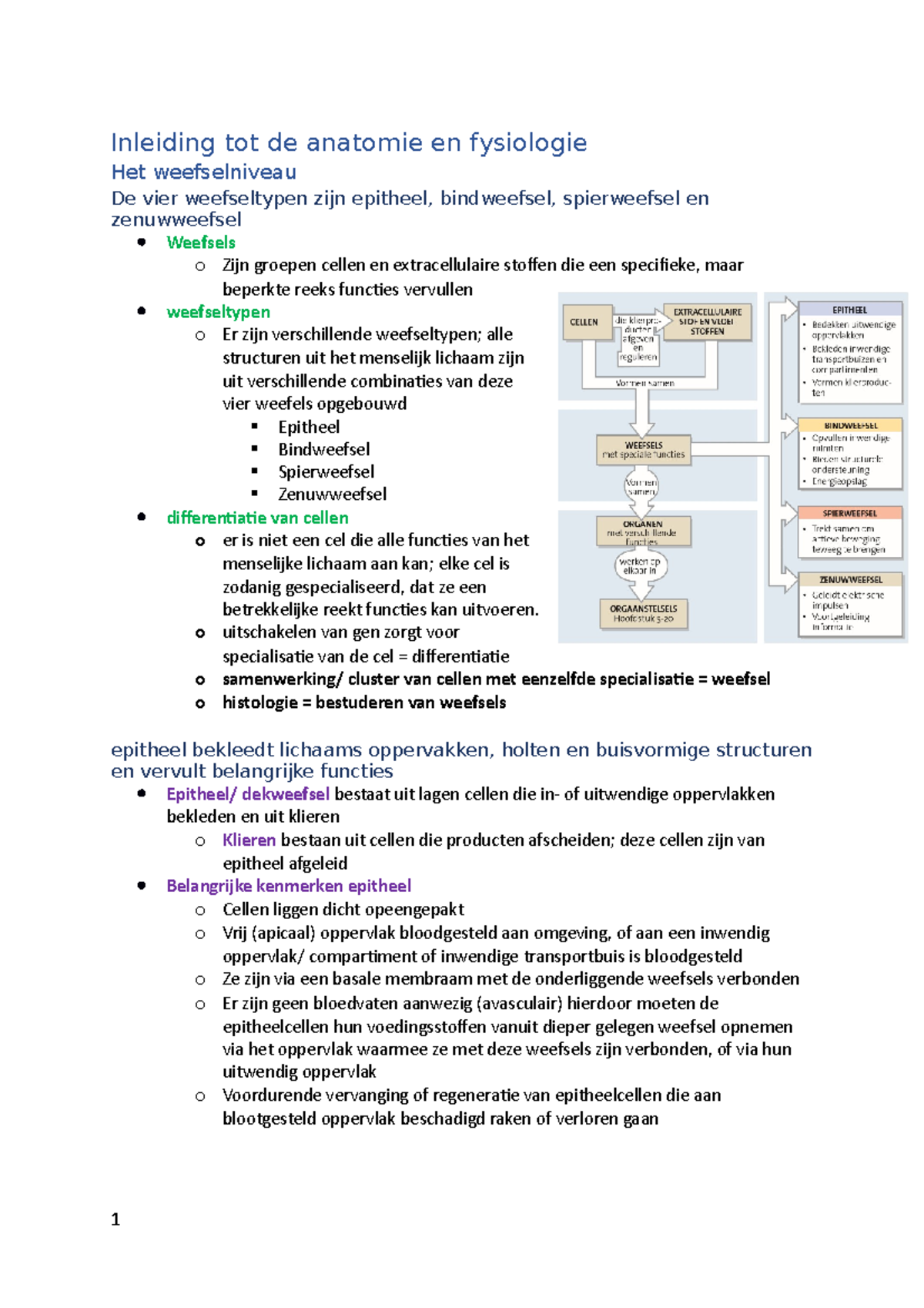 Anatomie en fysiologie - Inleiding tot de anatomie en fysiologie Het weefselniveau De vier - Studocu