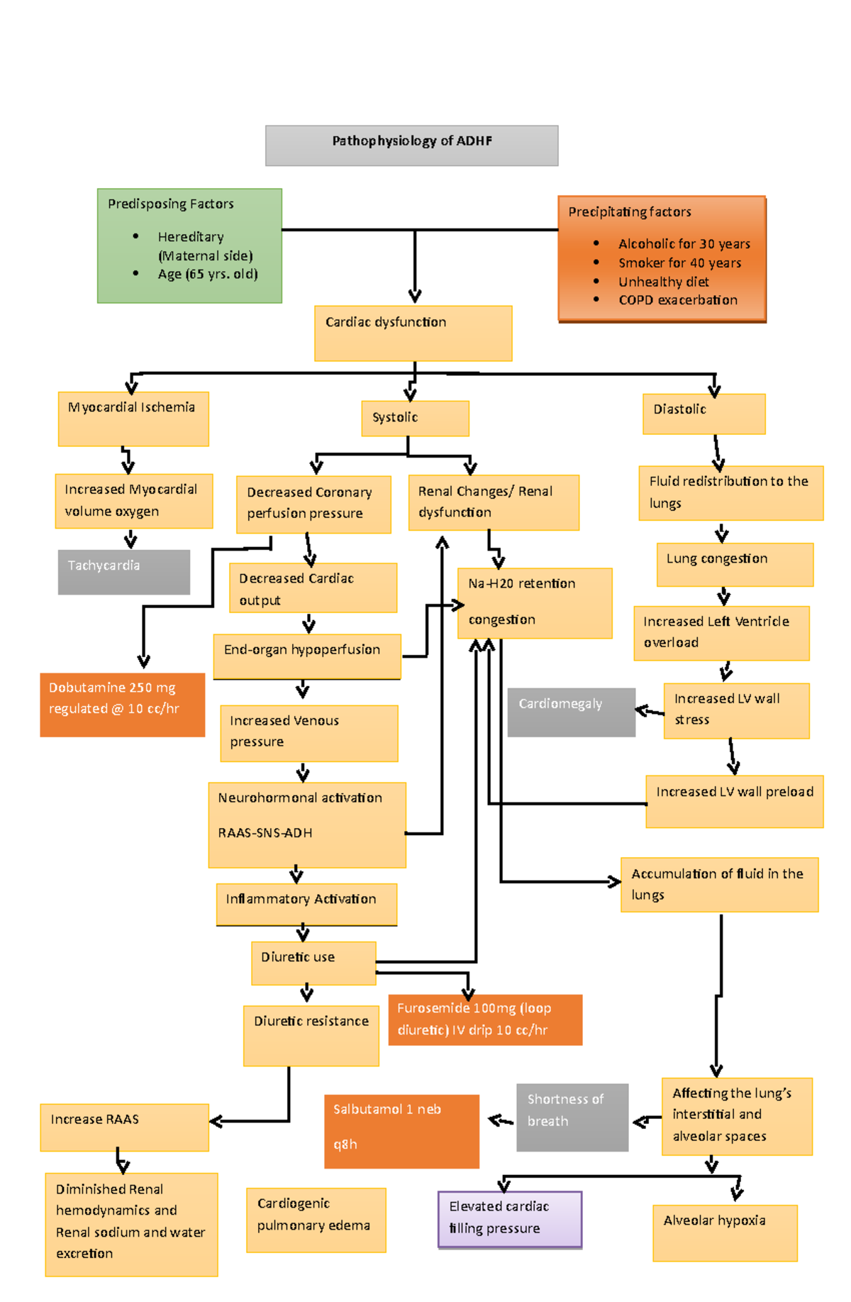 Pathophysiology-of-ADHF - Pathophysiology Predisposing Factors ...