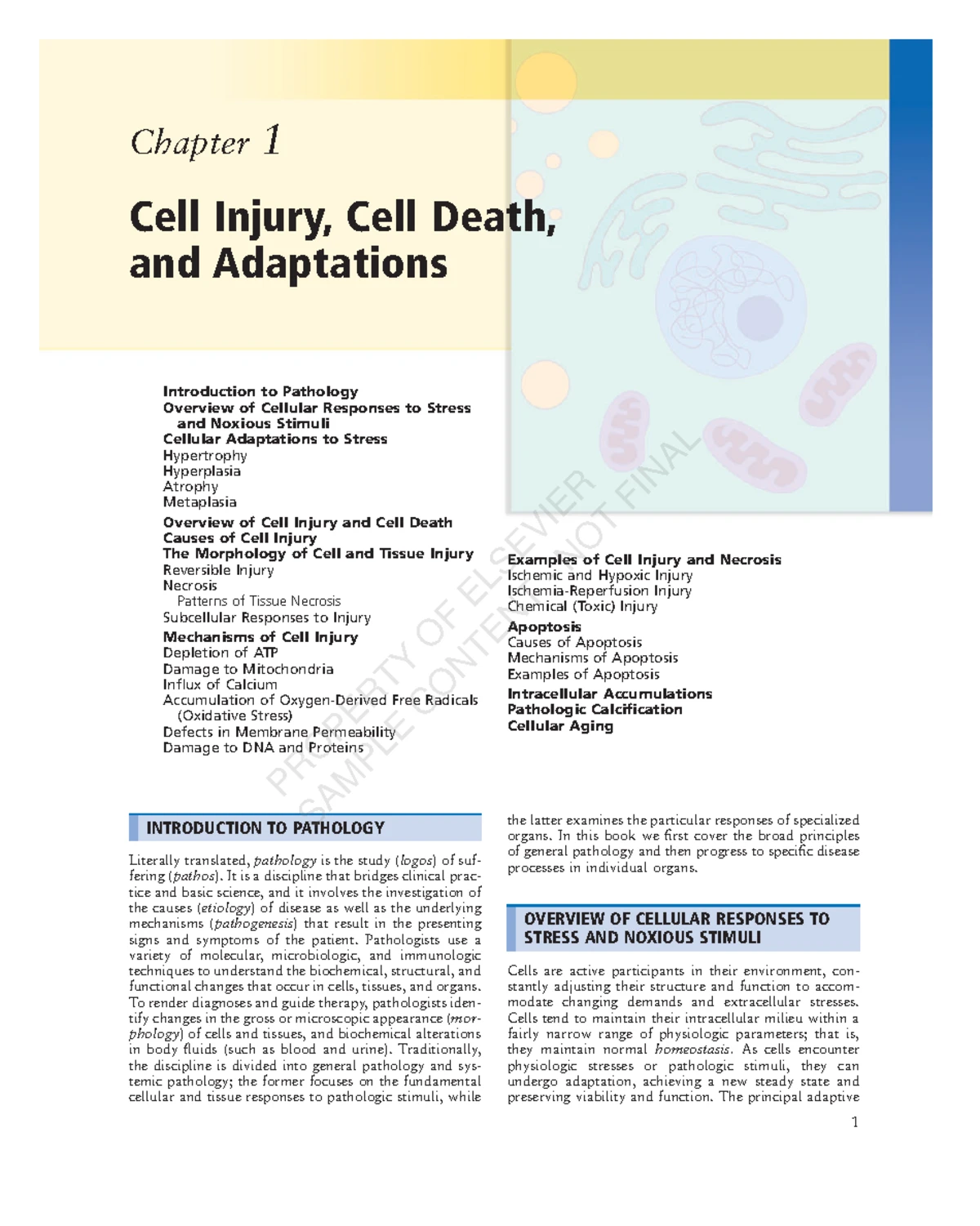 CELL Injury AND Adaptations notes - CELL INJURY AND ADAPTATIONS CELL ...