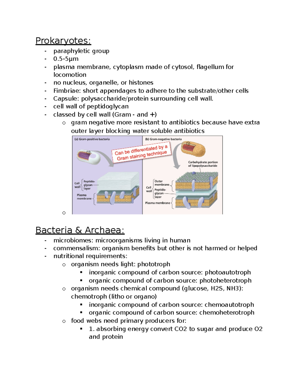 Bio 9 - prokaryote - notes - Prokaryotes: - paraphyletic group - 0-5μm ...
