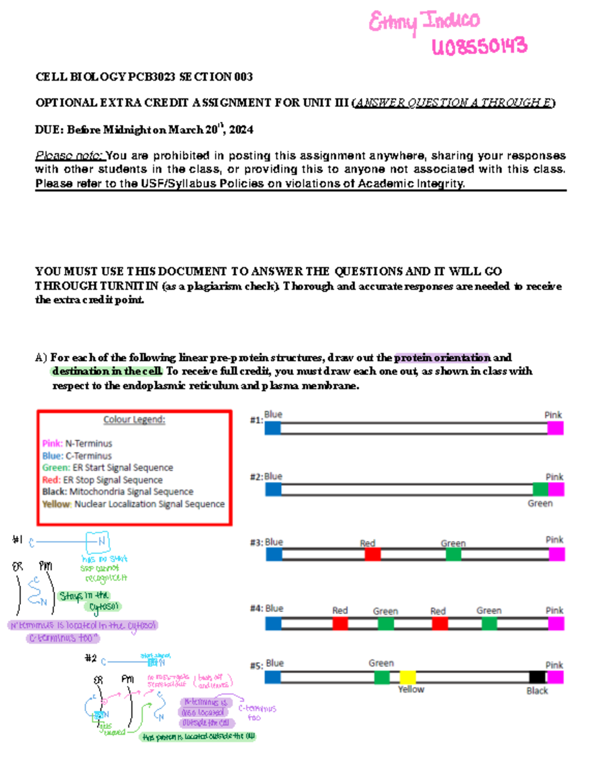 Unit III EC Optional - Extra credit practice - CELL BIOLOGY PCB3023 SECTION 003 OPTIONAL EXTRA ...