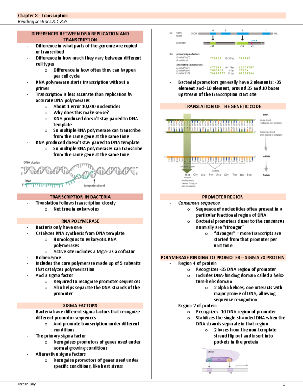 Molecular Biology Chapter 8 Exam 2 - Reading sections 8-8. DIFFERENCES ...