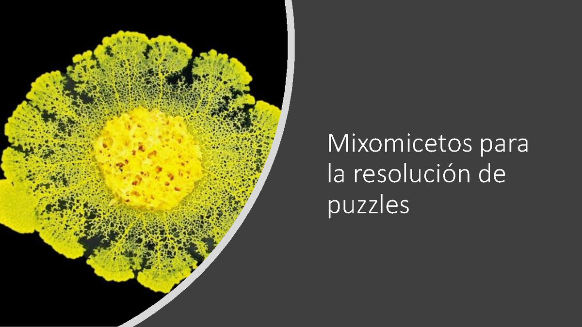 Trabajo mixomicetos - Mixomicetos para la resolución de puzzles ...