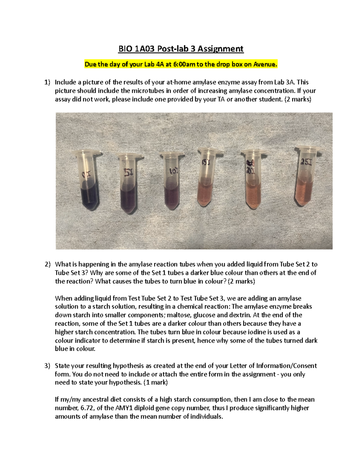 Post-Lab 3 Assignment: Amylase Enzyme Assay - Biology 1A03 - McMaster ...