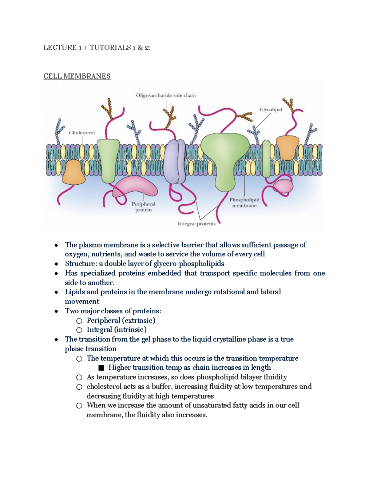 Lecture 1 Summary - Practice Lab - LECTURE 1 + TUTORIALS 1 & 2: CELL ...