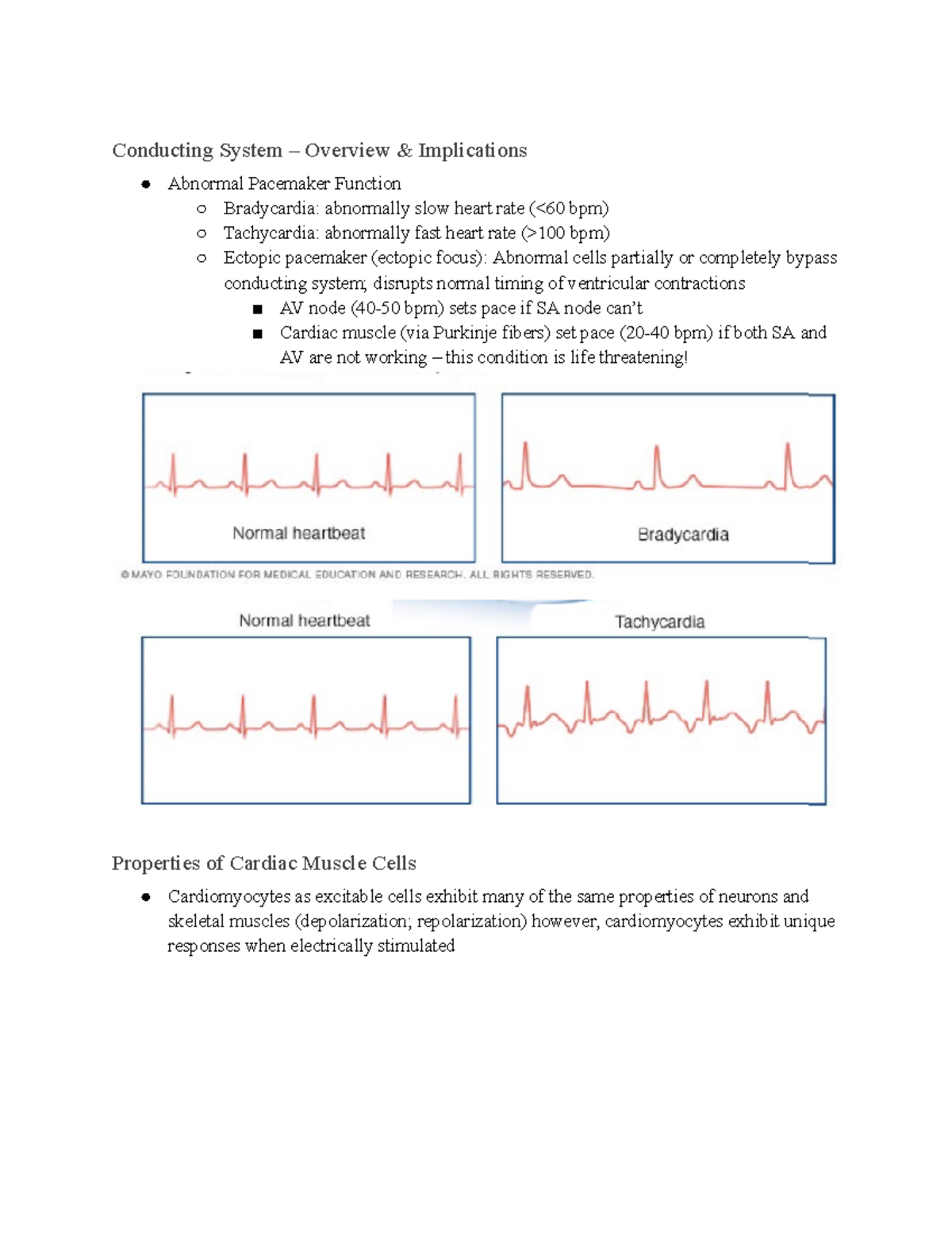 Week 4 Conducting System - Conducting System – Overview & Implications ...