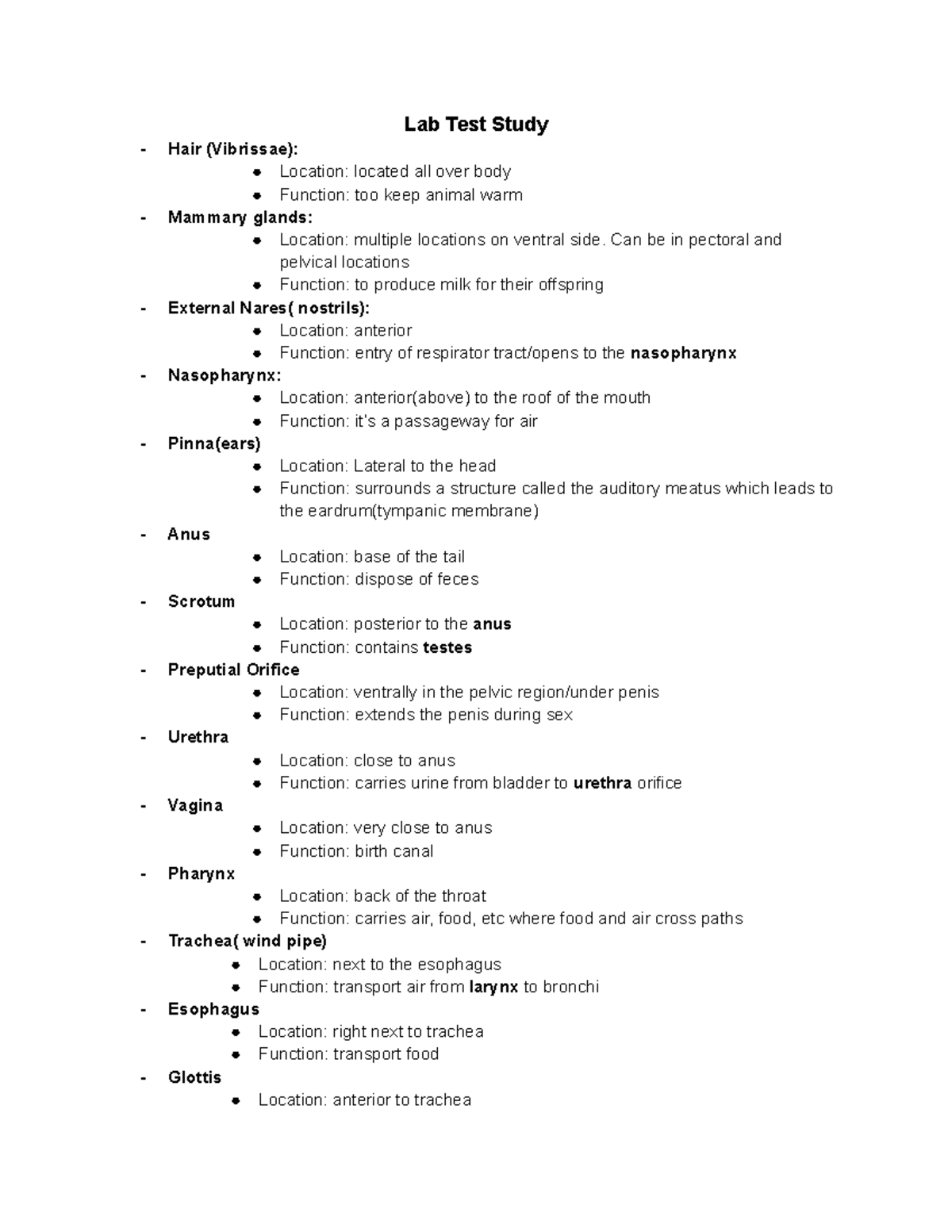 Rat Dissection Review - Lab Test Study Hair (Vibrissae): Location ...
