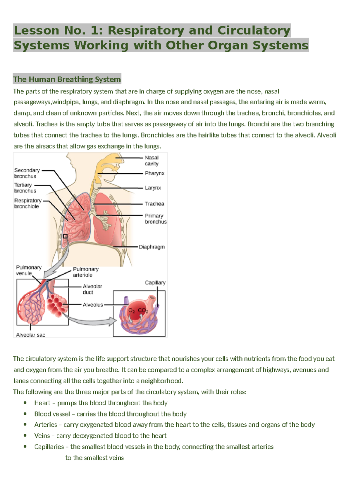 Science Notes Quarter 1 - Lesson No. 1: Respiratory and Circulatory ...