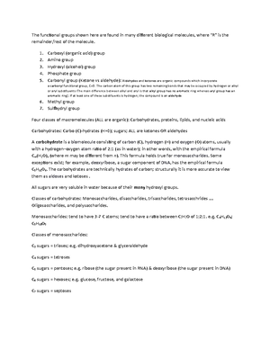 Kami Export - Ch 6 Active Reading Guide - Name ...