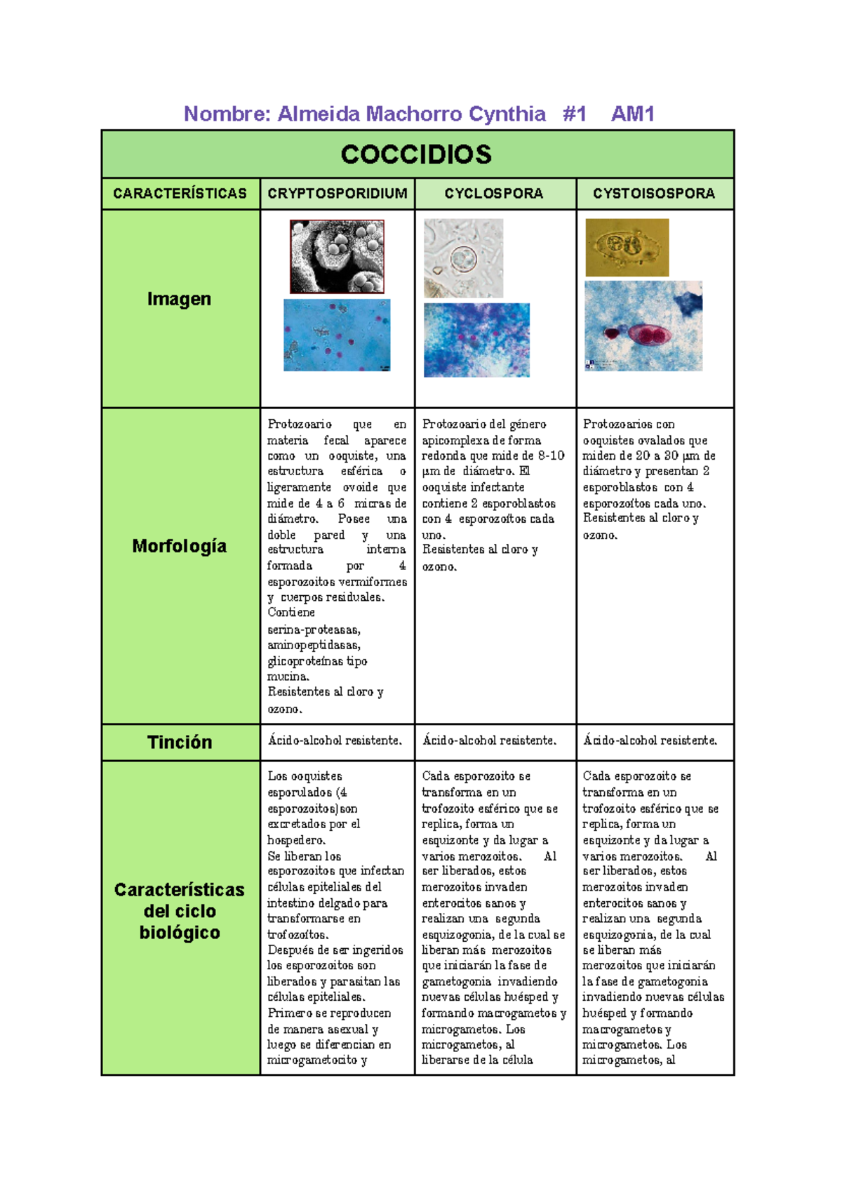 Coccidios - Nombre: Almeida Machorro Cynthia #1 AM COCCIDIOS ...