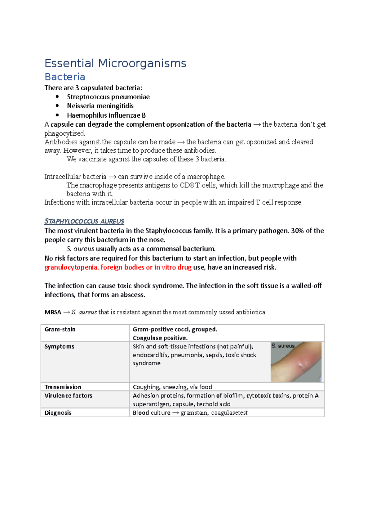 Essential Microorganisms - Essential Microorganisms Bacteria There are ...