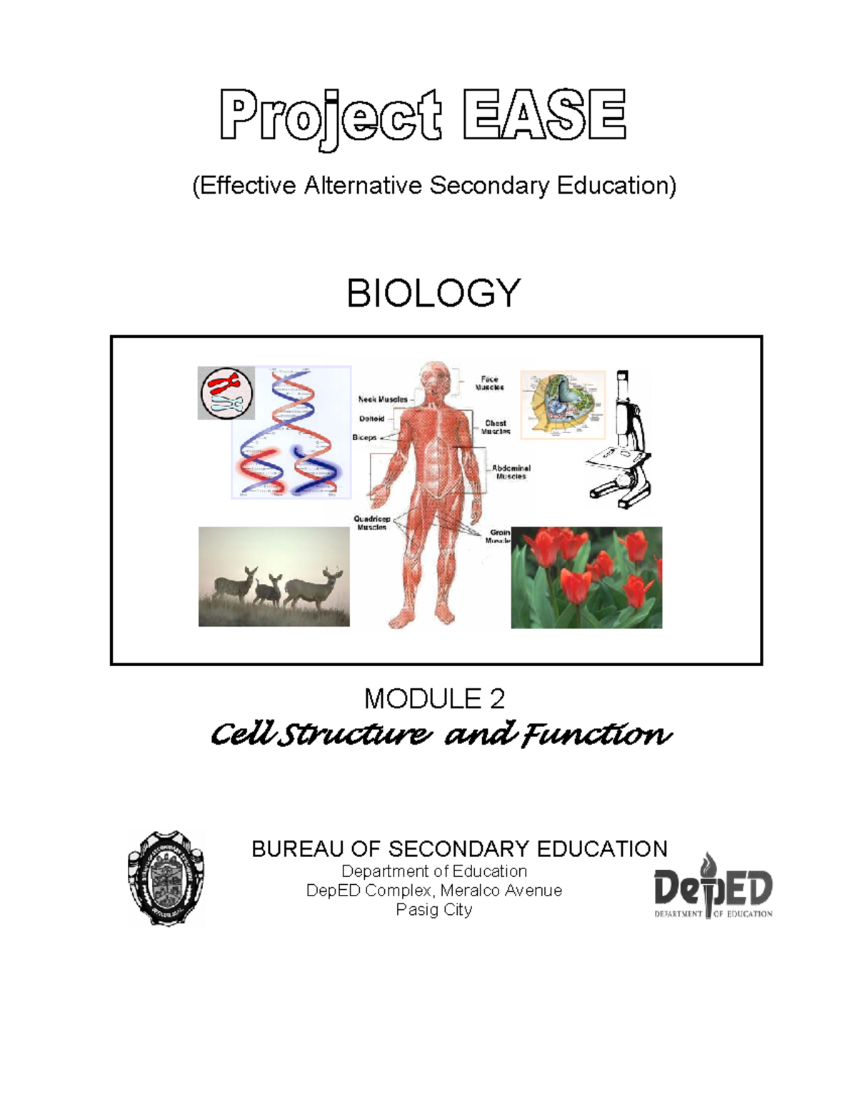 Biology M2 Cell Structure & Function - (Effective Alternative Secondary ...
