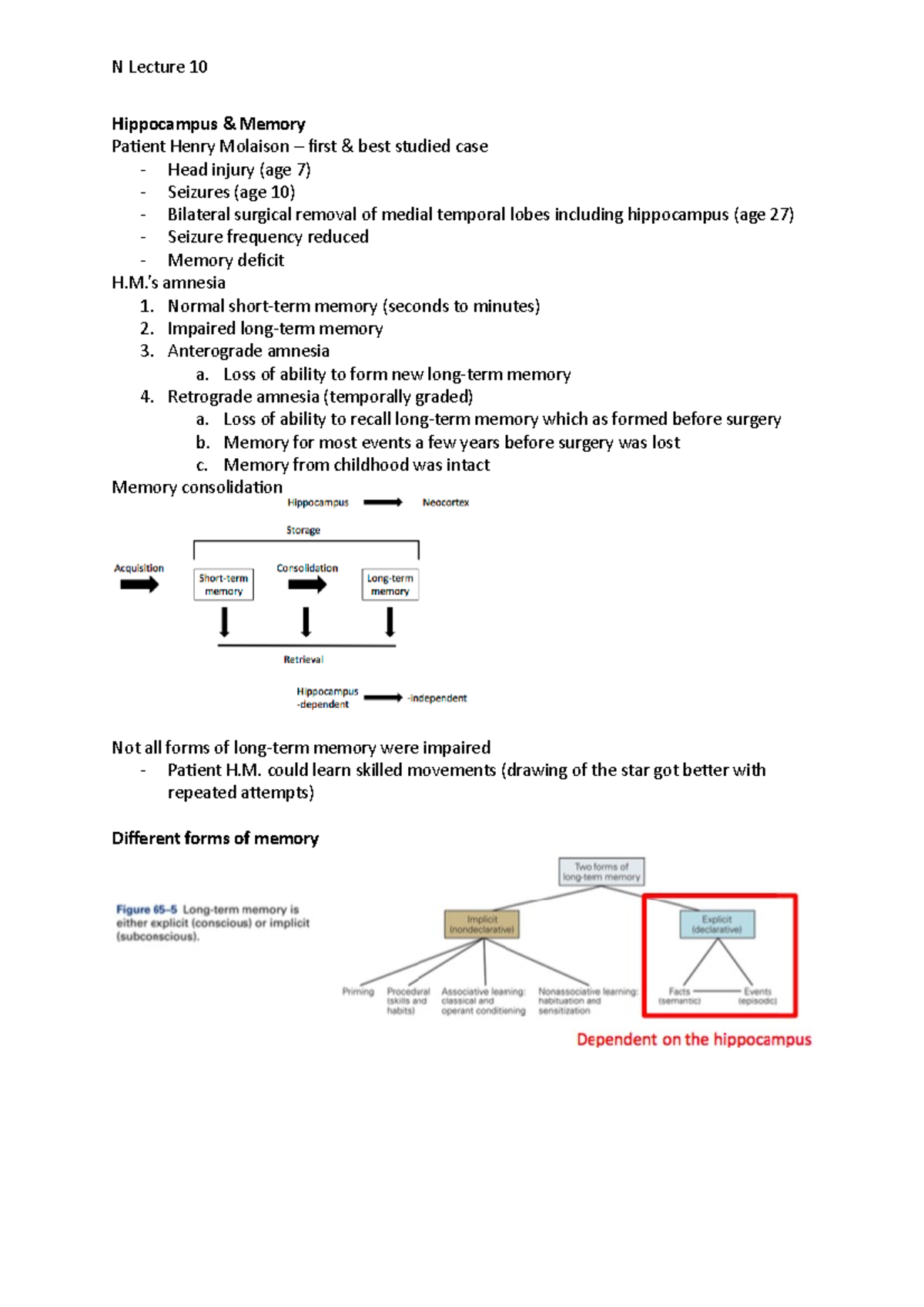 N Lecture 10 - Normal memory (seconds to minutes) 2. Impaired memory 3 ...