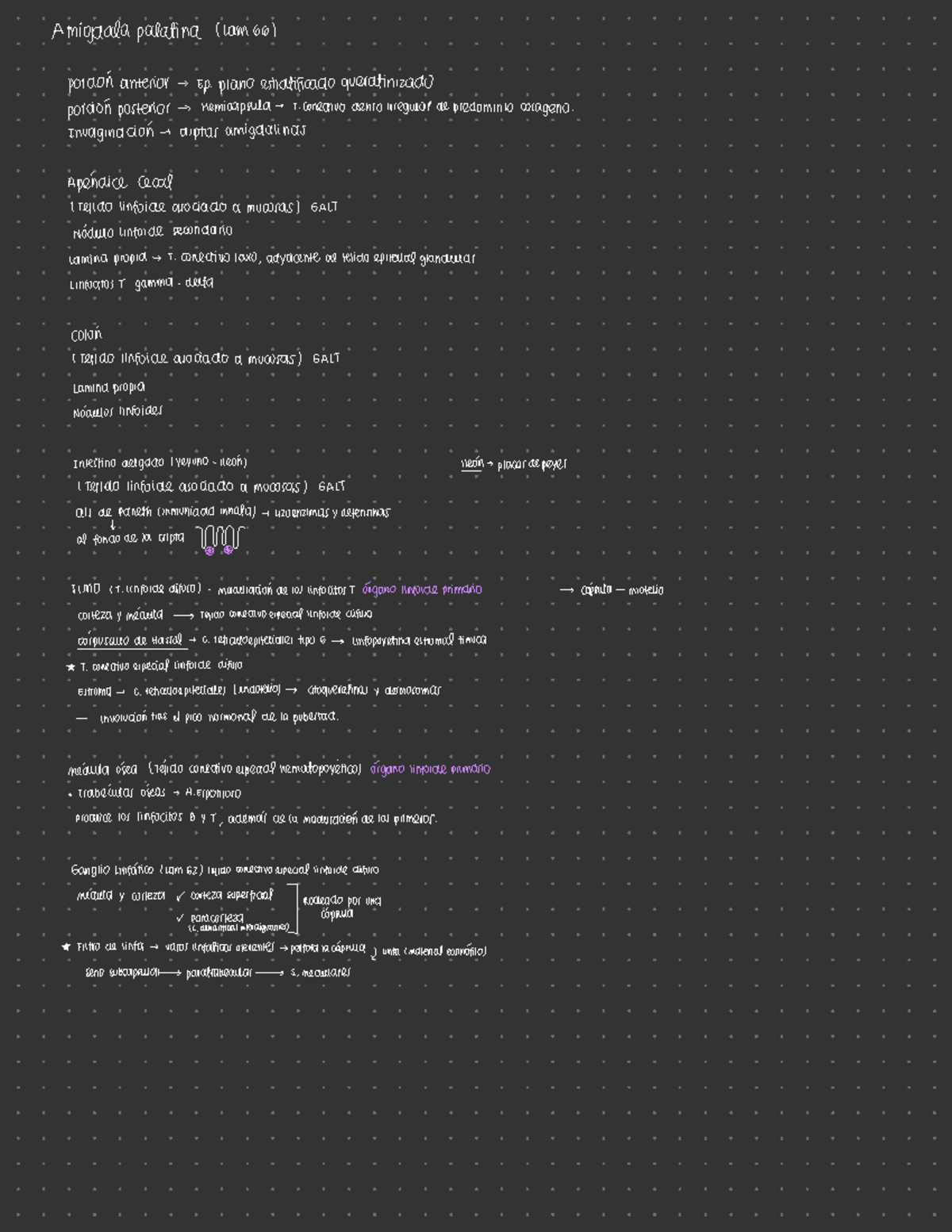 Untitled - Resumen de repaso - Amígdalapalatina 11am 661 por AOÁ anterior³ Ep . piano ...