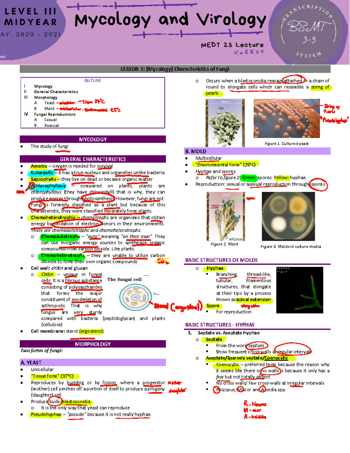[MEDT 23] Lesson 1 - Characteristics of Fungi - LESSON 1 : [Mycology ...