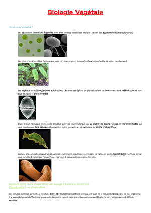 Chapitre 3 Les mycètes - CHAPITRE 3 Les mycètes, des thallophytes bien ...