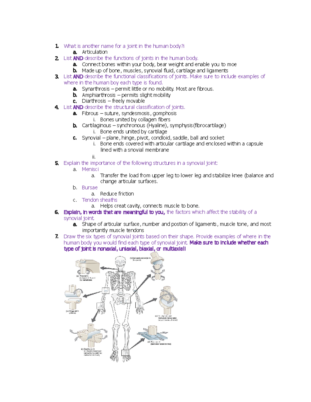 Functions and classifications of joints in the human body - Studocu