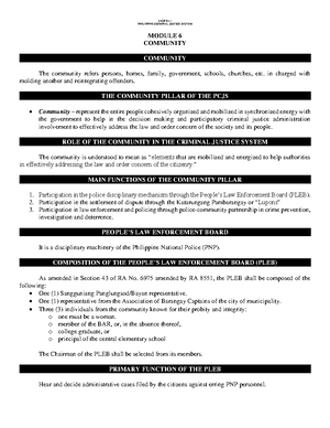 Module 3 - PROSECUTION PILLAR - MODULE 3 PROSECUTION PROSECUTION AS A ...