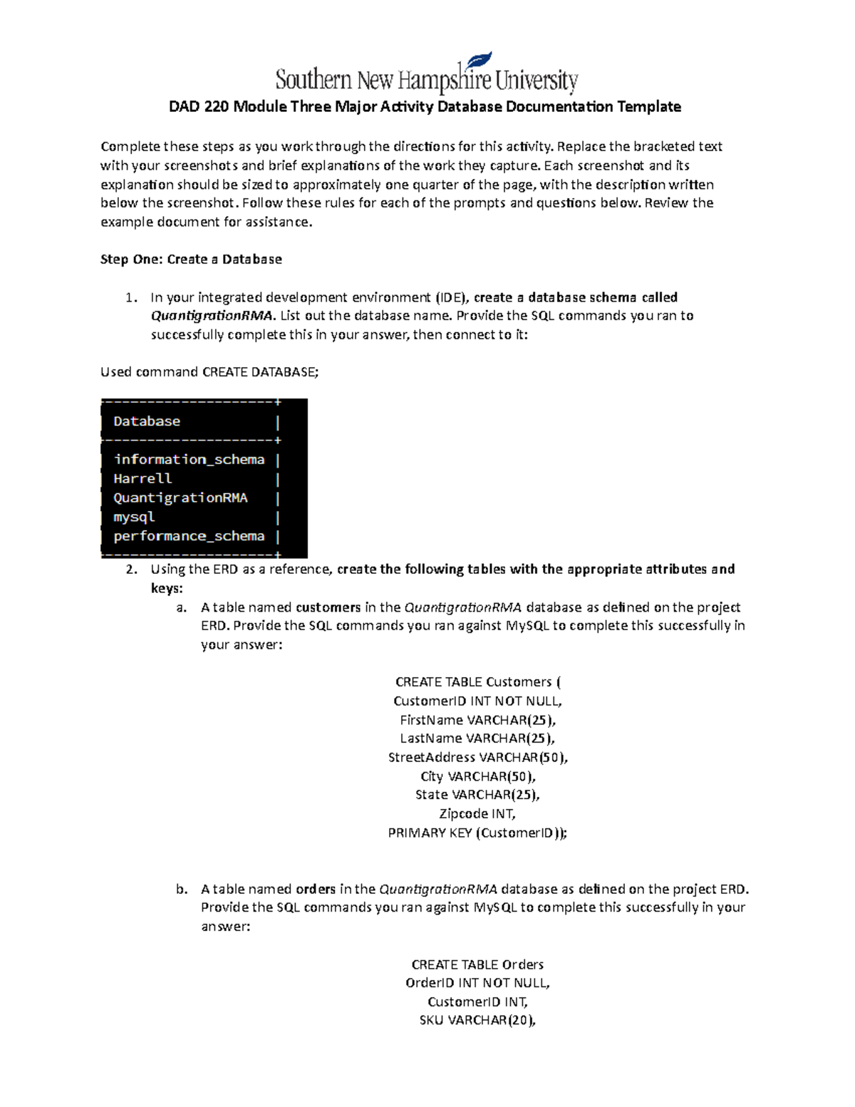 Dad 220 Module Three Major Activity Database Documentation Template Replace The Bracketed Text