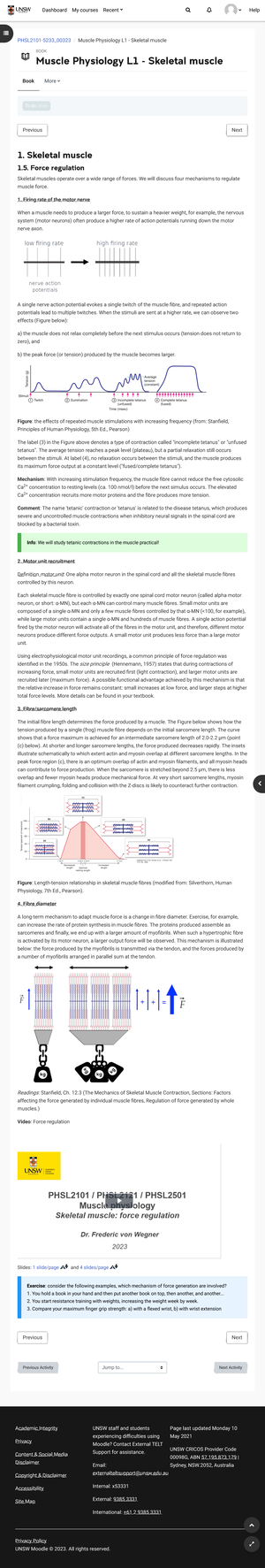 Muscle Physiology L1 - Skeletal muscle Fibre types - PHSL2101-5233 ...