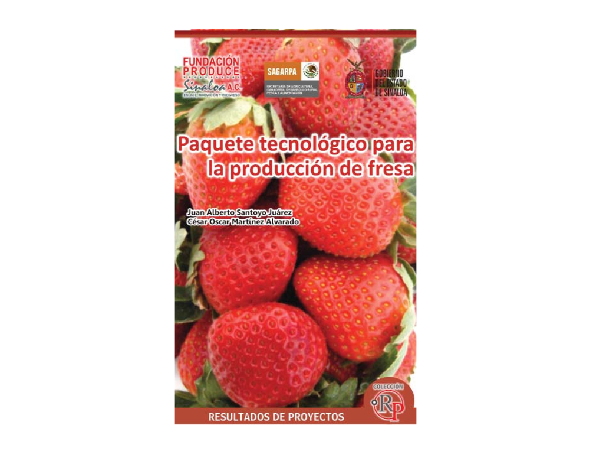 Paquete tecnologico para la producción de fresa - 2 Fundación Produce ...