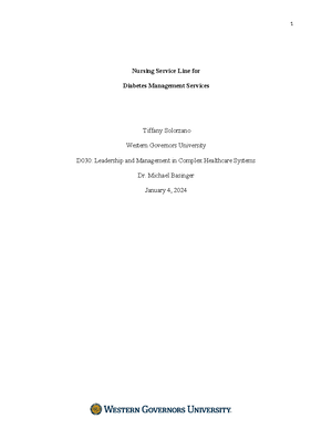D030 Executive Summary - 3a. Executive Summary: A nurse executive ...
