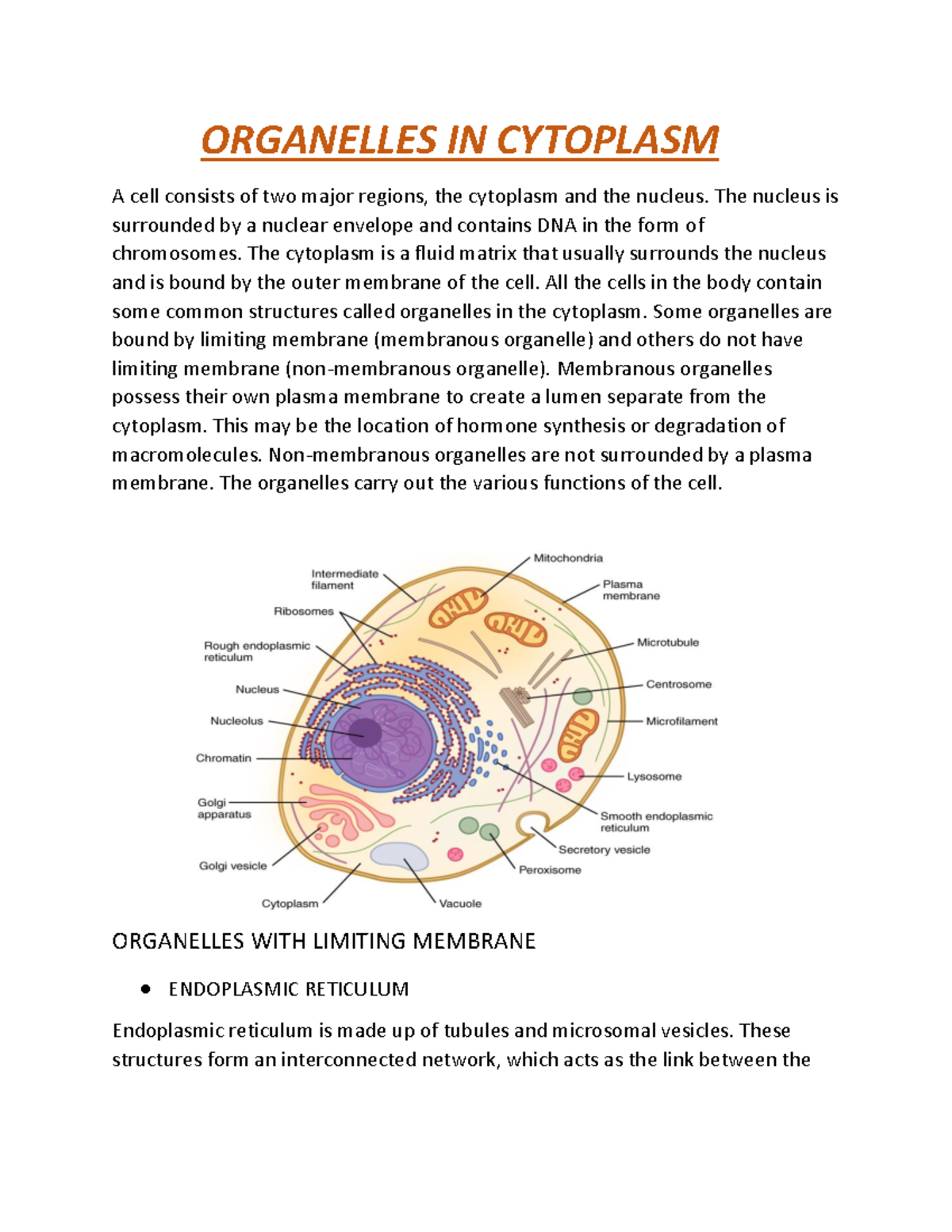 Organelles IN Cytoplasm - ORGANELLES IN CYTOPLASM A cell consists of ...