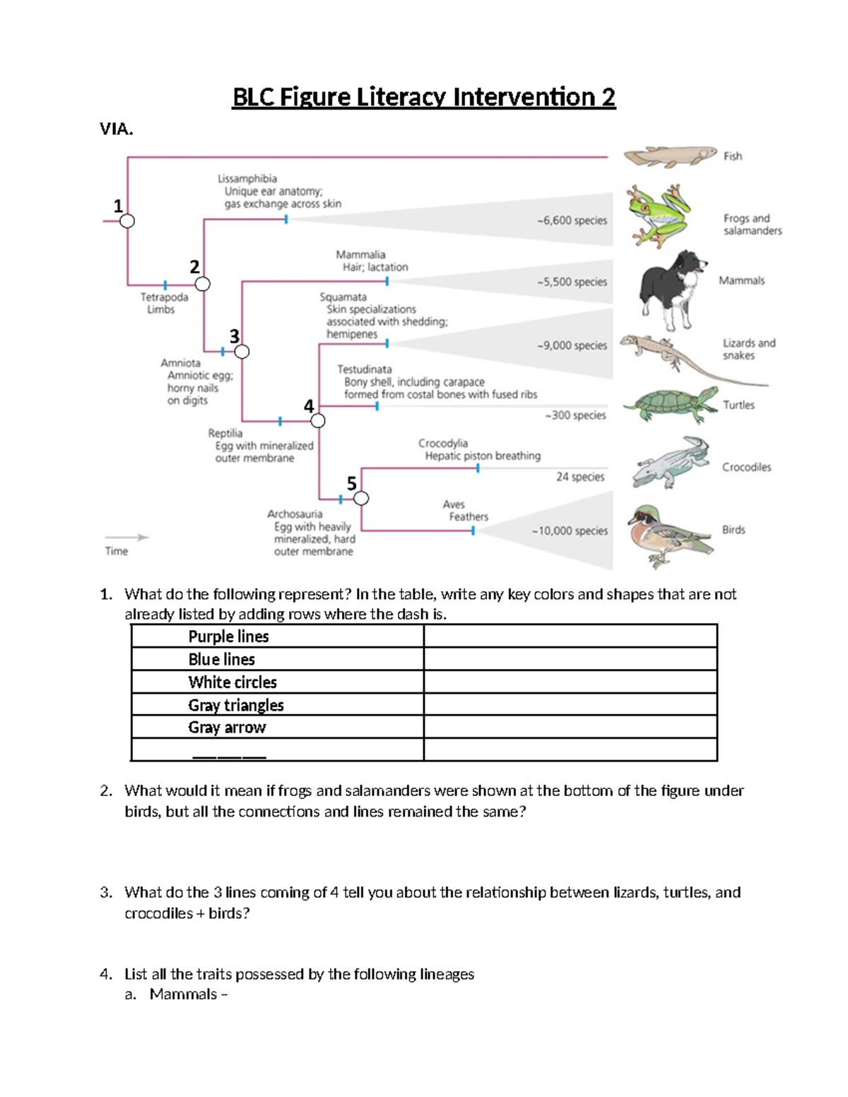 BLC Figure Literacy Intervention 2 - 1. What do the following represent ...