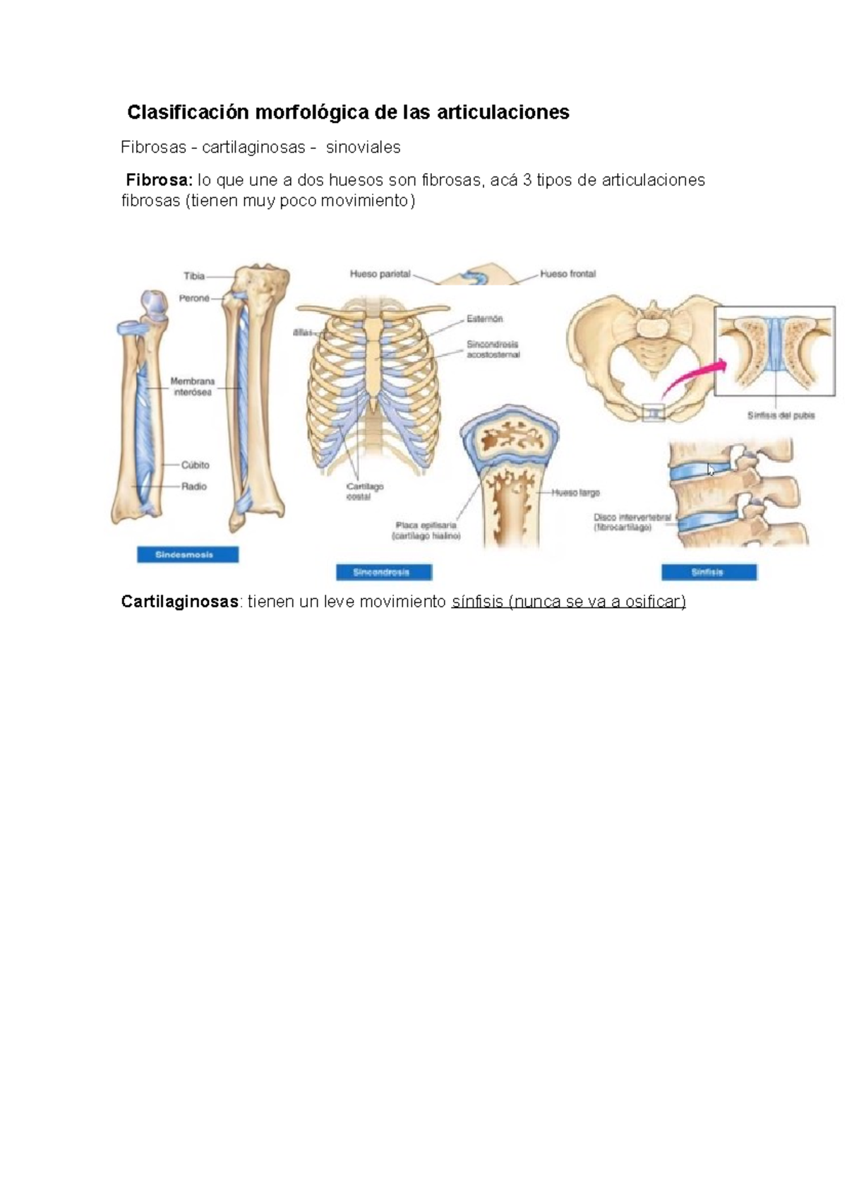 Tipeo (osteo y artro de la columna vertebral) - Clasificación ...