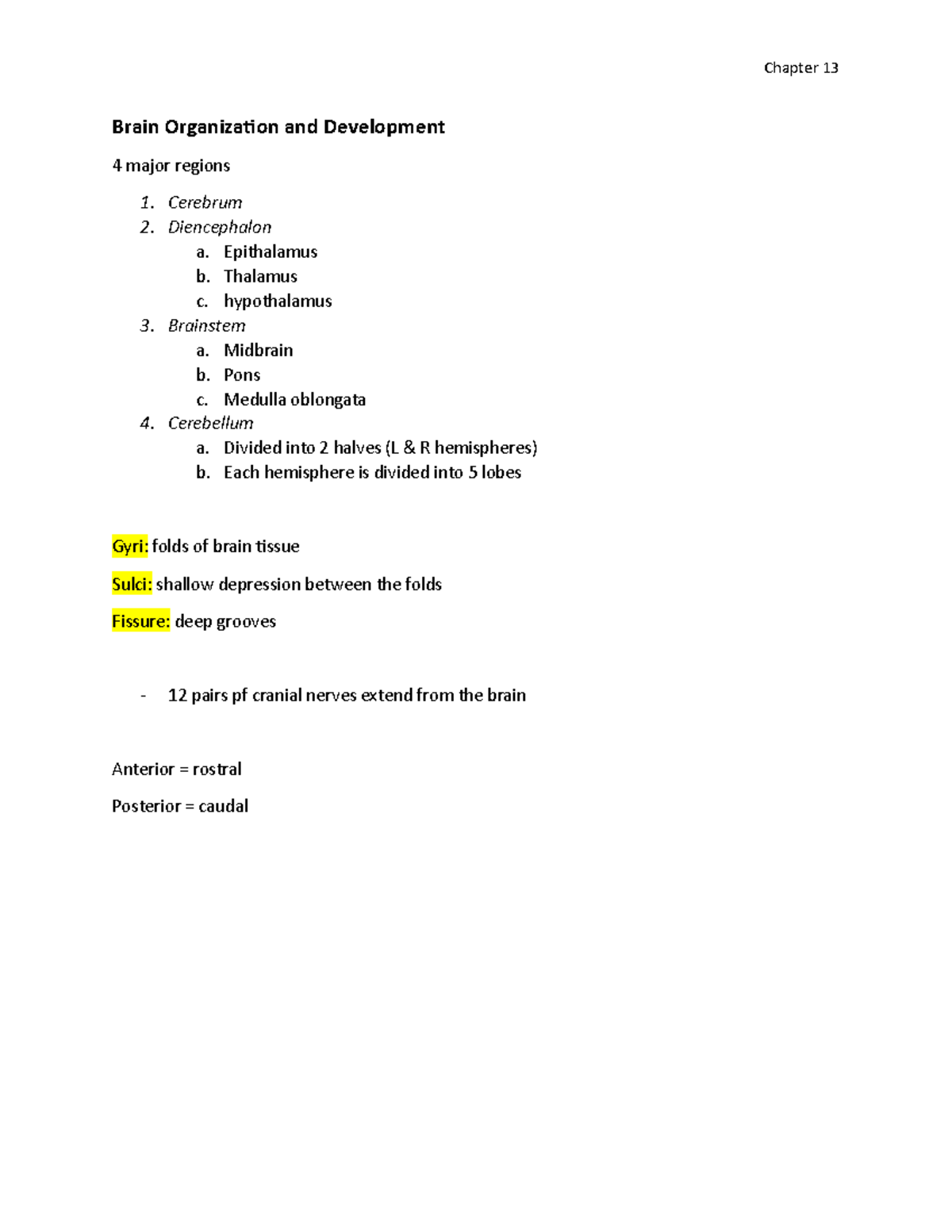 Nervous-Brain and Cranial Nerves - Chapter 13 Brain Organization and Development 4 major regions ...