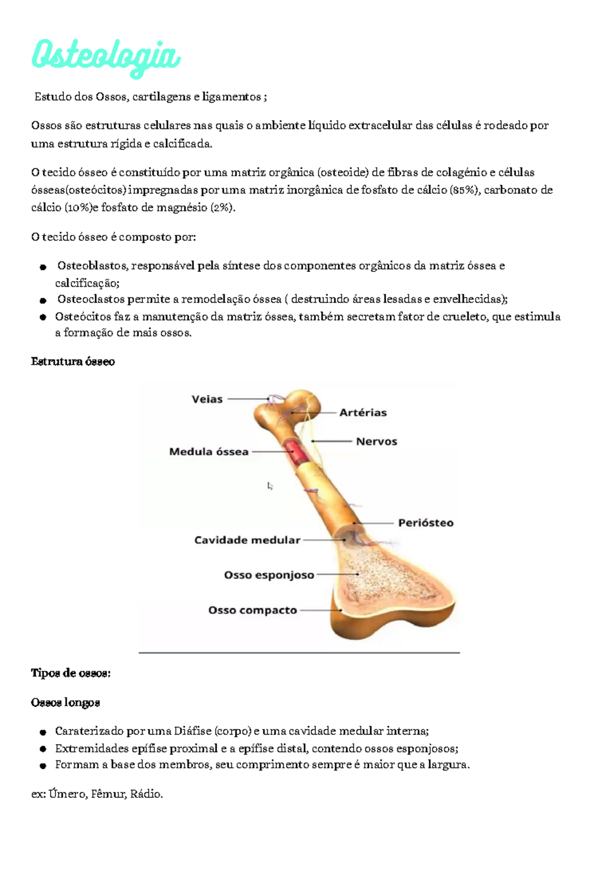 Osteologia - Oteologia Estudo dos Ossos, cartilagens e ligamentos ...