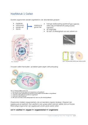 Vorming geslachtscellen en meiose - Hoe ontstaan geslachtscellen? Vrouwelijke geslachtscellen ...