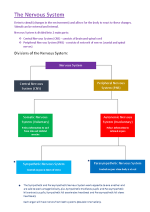 Example 2 GR 7 MINI-PAT - guide - TECHNOLOGY GRADE 7 MINI PAT PROJECT ...