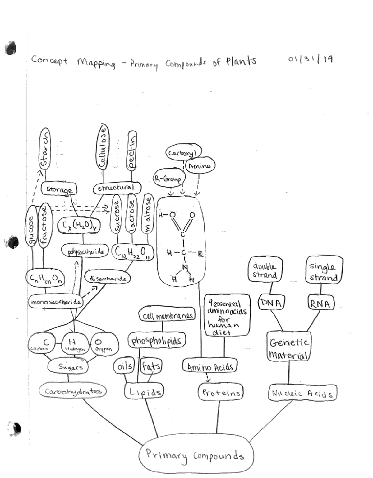 BOTANY130 - General Botany - BIOLOGY/ BOTANY 130 - Studocu