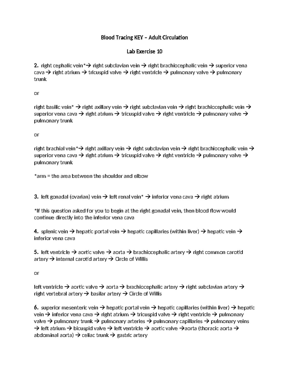 Blood Tracing Key - Adult Circulation - Blood Tracing KEY – Adult ...