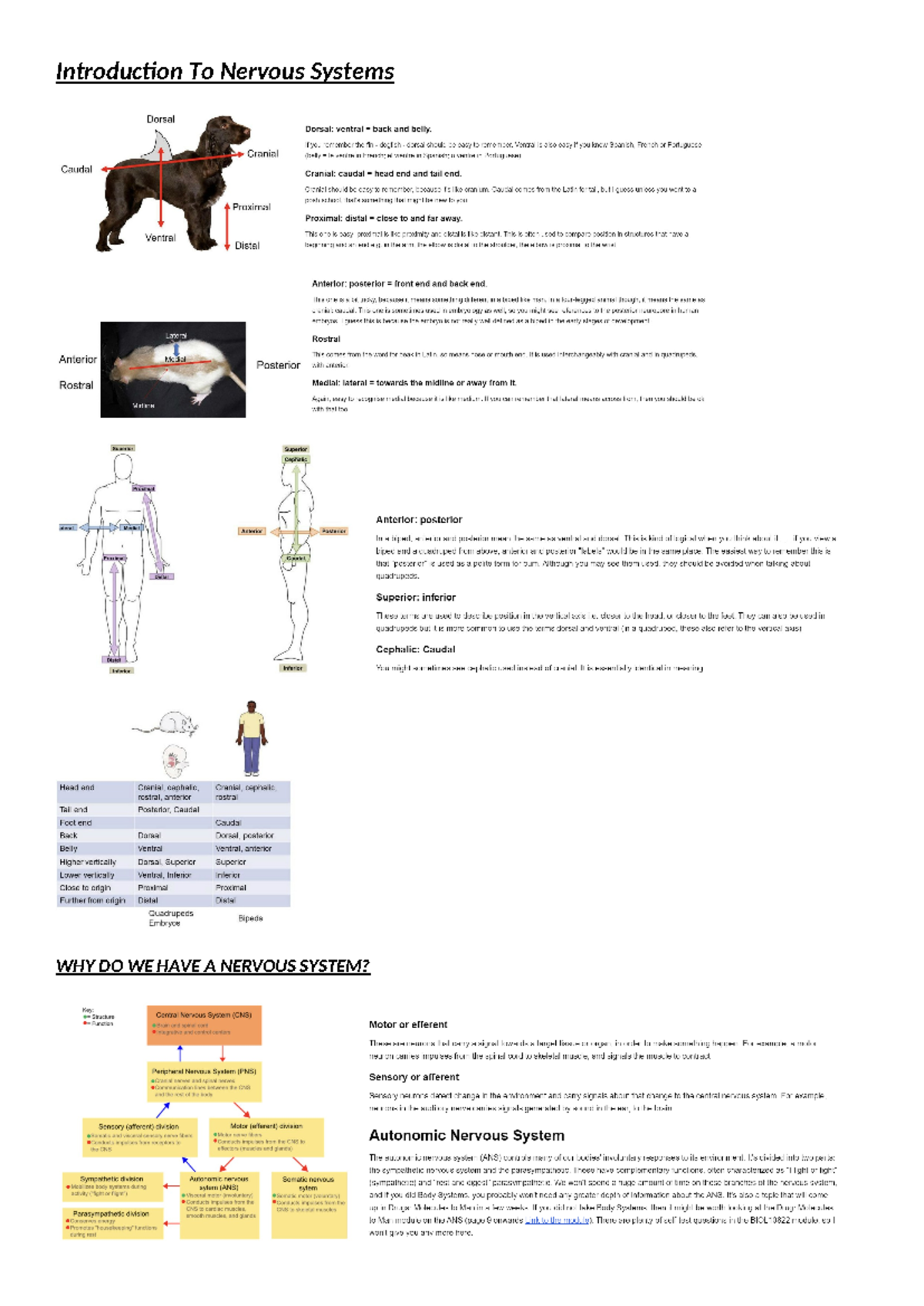1 - Introduction To Nervous Systems - Introduction To Nervous Systems ...