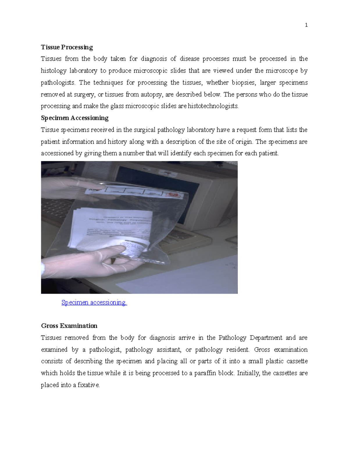 Tissue Processing - Tissue Processing Tissues from the body taken for ...