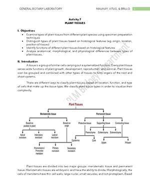 Three Types of Moral Dilemma - Types of Dilemma- Individual ...