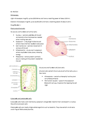 B6 Revision notes - vGCSE biology - B6 Preventing and treating disease ...
